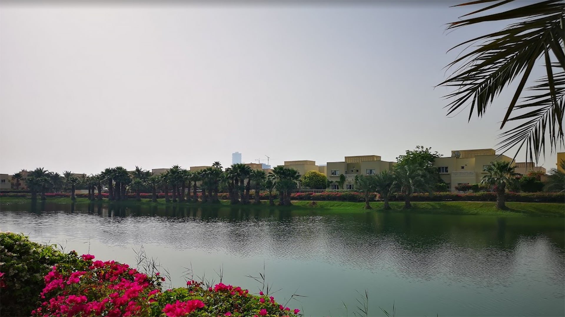 The Springs in Dubai | Dubai-Real.Estate